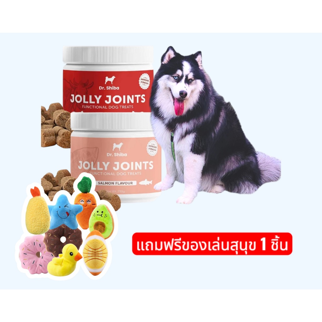 Dr. Shiba Jolly Joints - ขนมสุนัข ช่วยซัพพอร์ทข้อต่อ และกระดูก รสเนื้อ ...