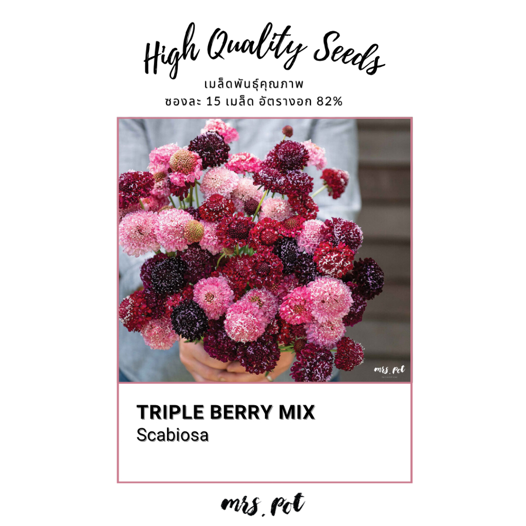 เมล็ด Triple Berry สายพันธุ์ Triple Berry Mix | Shopee Thailand