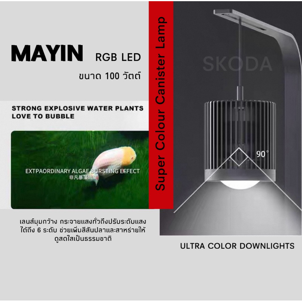 โคมไฟ MAYIN Super Colour Canister Lamp ขนาด 100 วัตต์ | Shopee Thailand