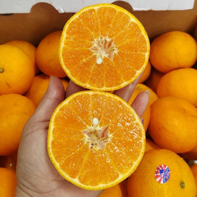 ส้ม Phoenix Mandarin ออสเตรเลีย กล่อง 9 kg | Shopee Thailand