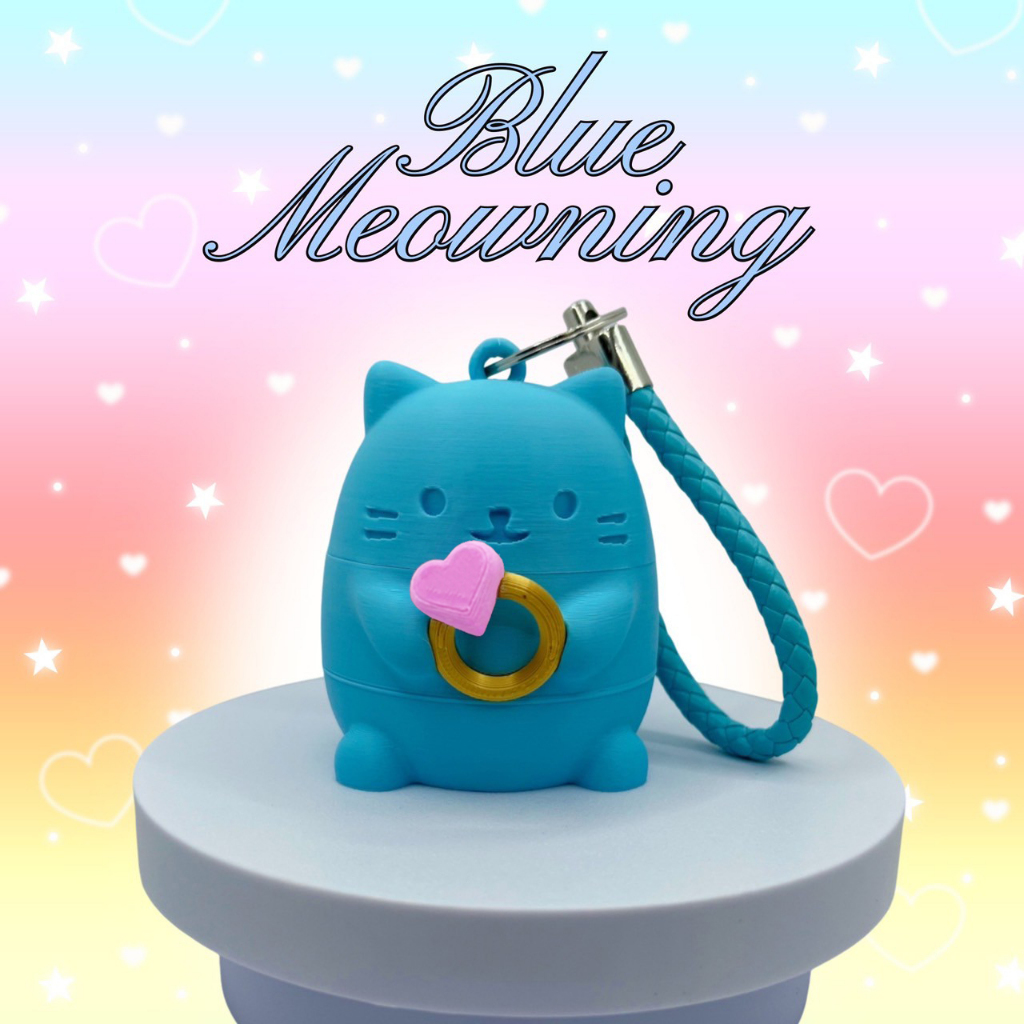 เคสยาดม กล่องอเนกประสงค์ แมวน้อยขอแต่งงาน สีฟ้า Blue Meowing ฝาแม่เหล็ก ...