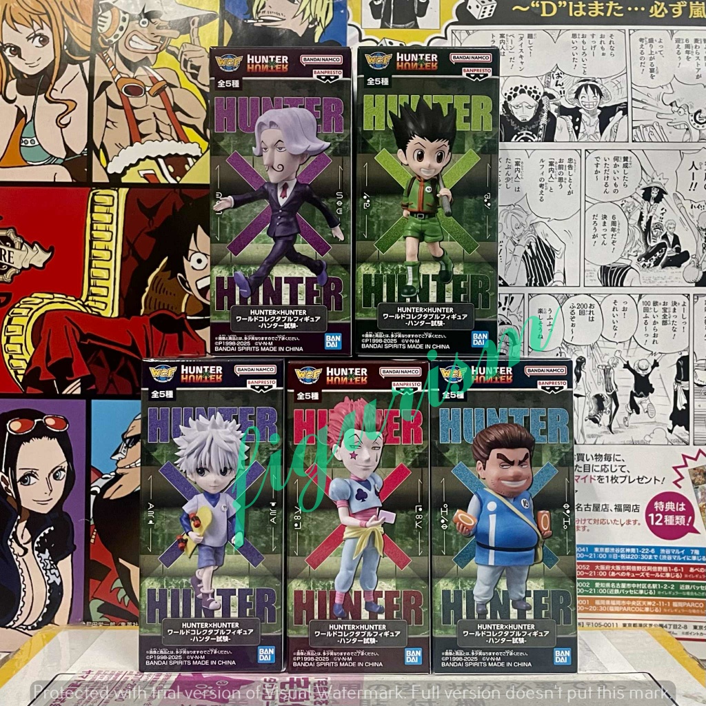 🔥 WCF Hunter X Hunter - Hunter Exam ฮันเตอร์ x ฮันเตอร์ 🔥 แท้ ลิขสิทธิ์ ...