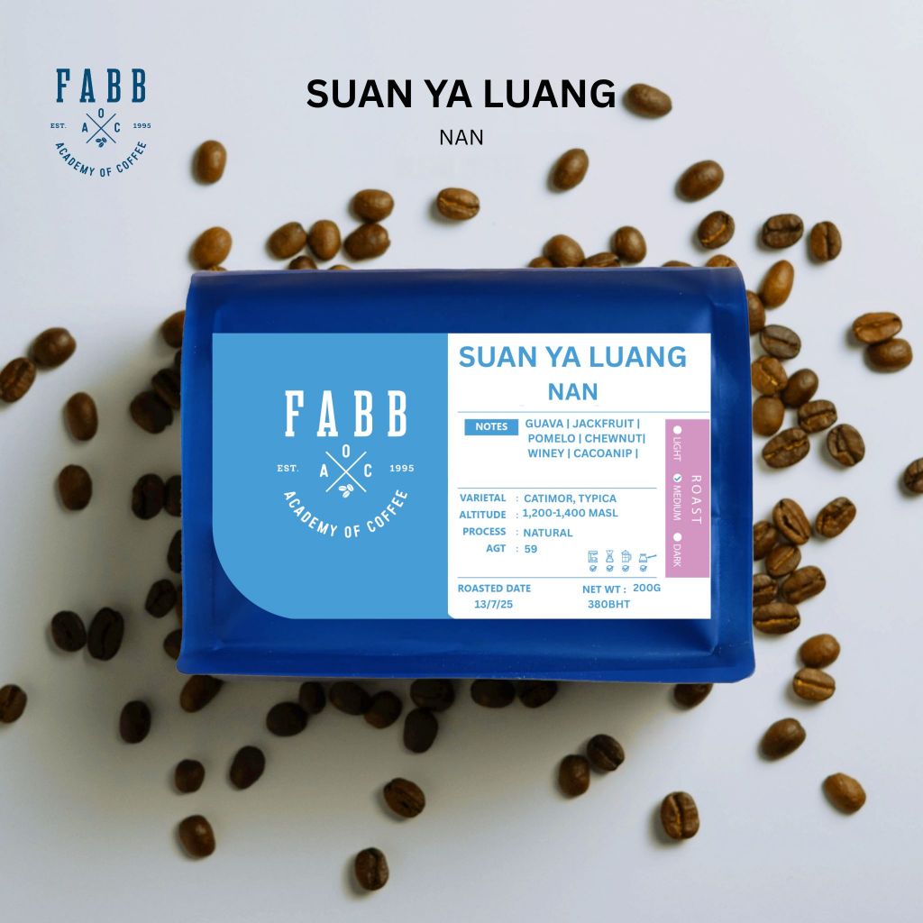 FABB เมล็ดกาแฟ คั่วกลาง Thailand- Suan Ya Luang, Nan | Shopee Thailand