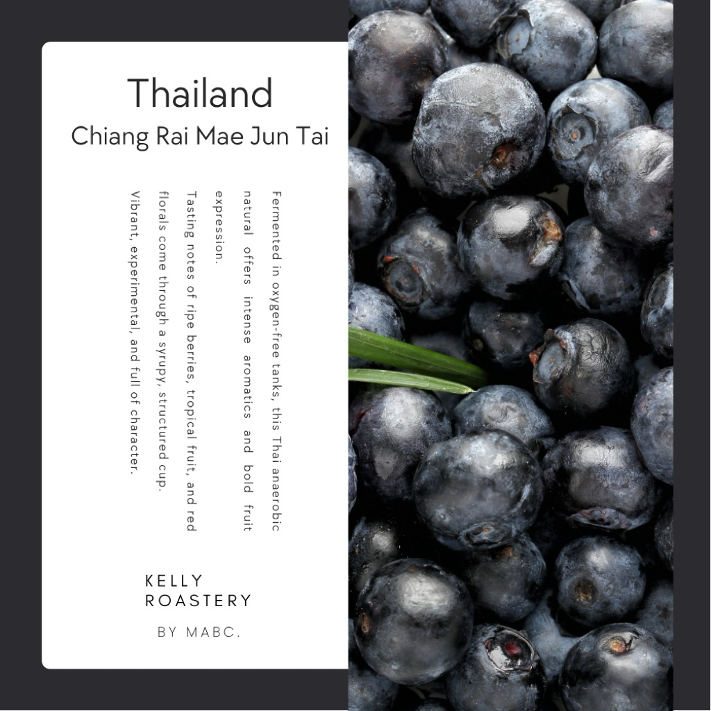 THAILAND MAE JUN TAI 100G | Shopee Thailand