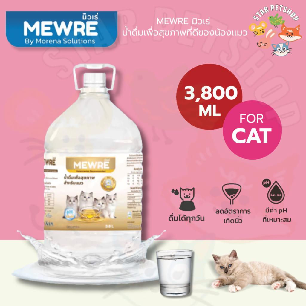 MEWRE มิวเร่ น้ำดื่มเพื่อสุขภาพที่ดีของน้องเเมว ขนาด 3,800 ML ผสานเทคโนโลยี NANOSS | Shopee Thailand