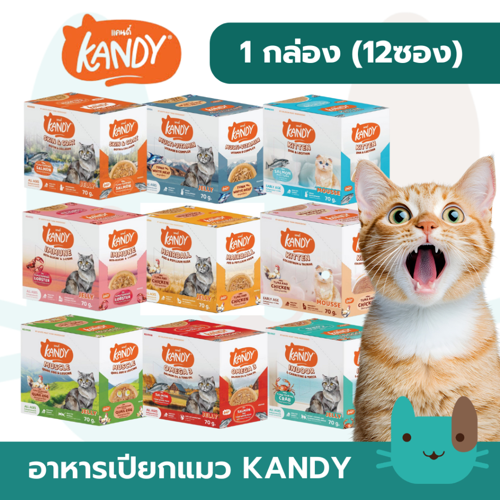 Kandy (1กล่อง12ซอง) อาหารเปียกแมวแคนดี้ ไม่ใส่เกลือ ผลิตจากปลาเนื้อขาว ...