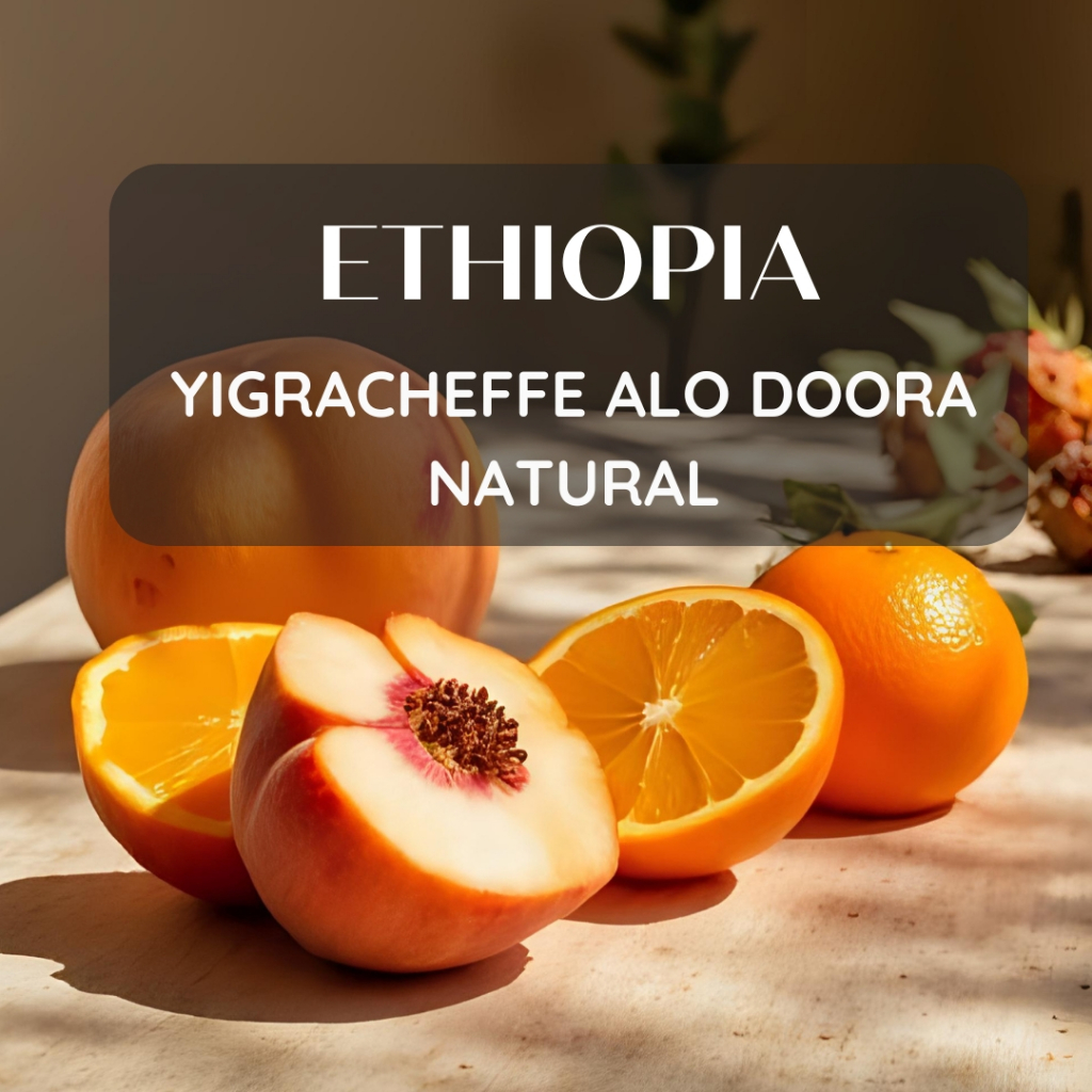 สารเมล็ดกาแฟ 2025 Crop Ethiopia Yigracheffe Alo Doora Natural G1 ...