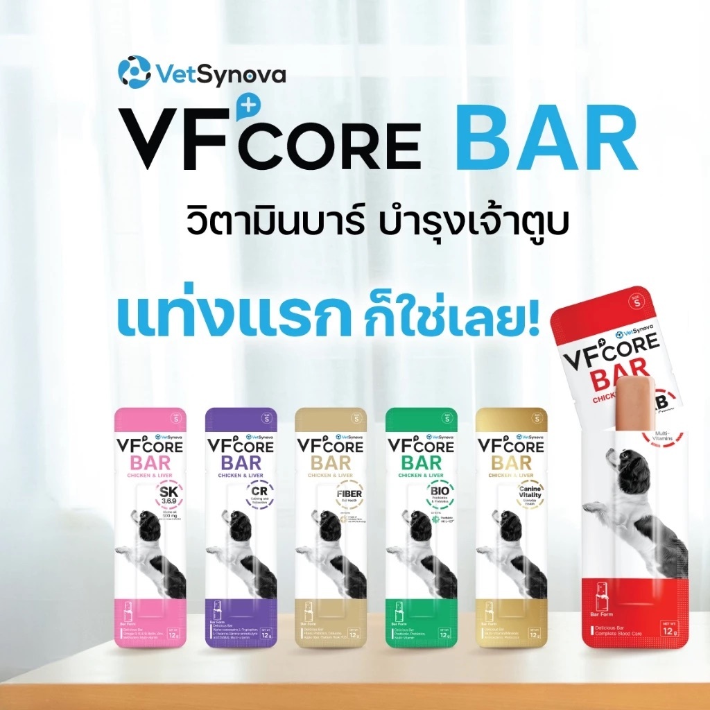 VFcore BAR Dog วิตามินบาร์สำหรับสุนัข 6 สูตร - 1 Box/20ซอง | Shopee Thailand