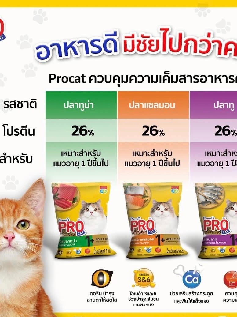 Pro Cat Pro Dog อาหารแมว ขนาด 7 - 20 กิโลกรัม โปรแคท อาหารเม็ด อาหาร ...