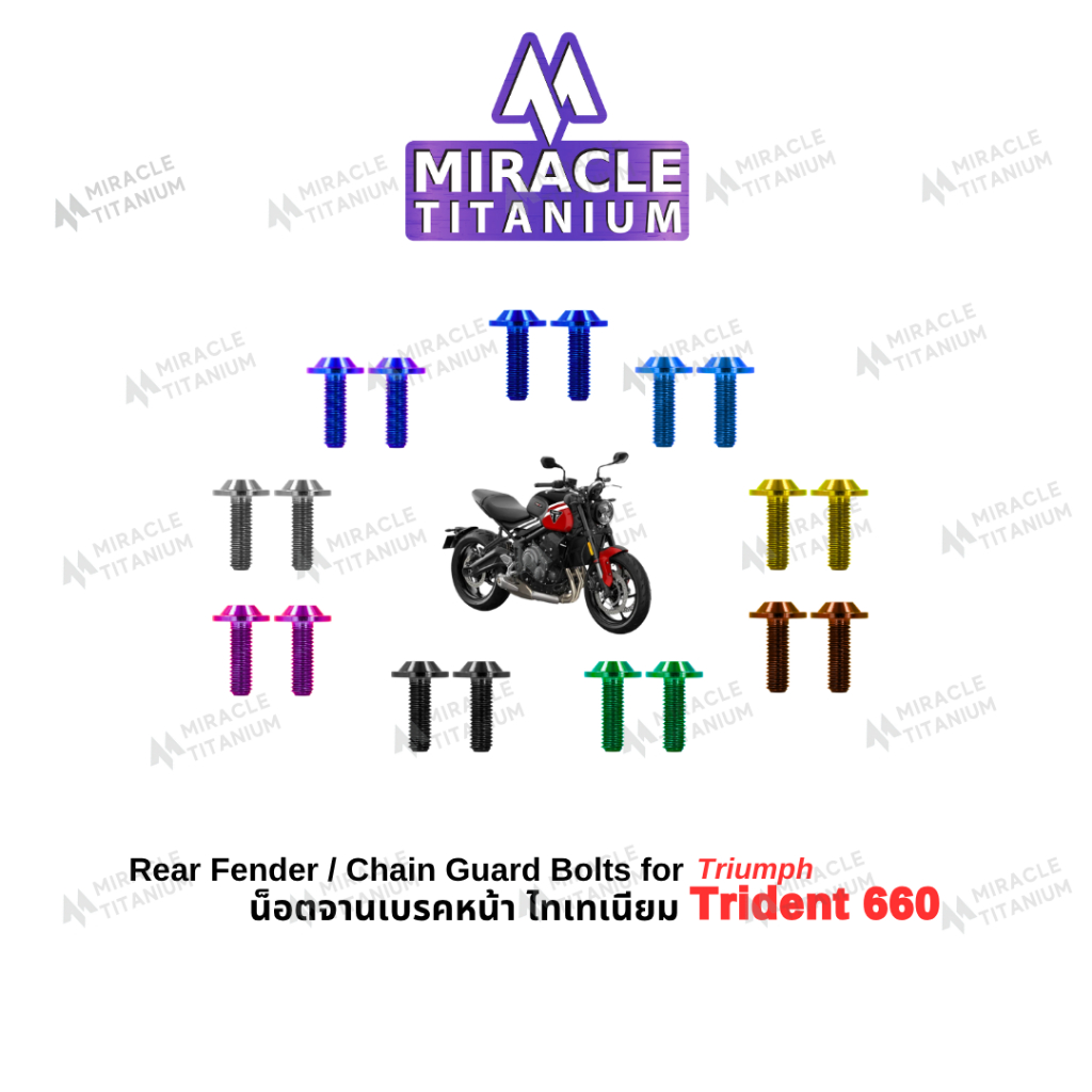 Triumph TRIDENT 660 Rear Fender / Chain Guard Bolts น็อตบังโคลนหลัง/บัง ...