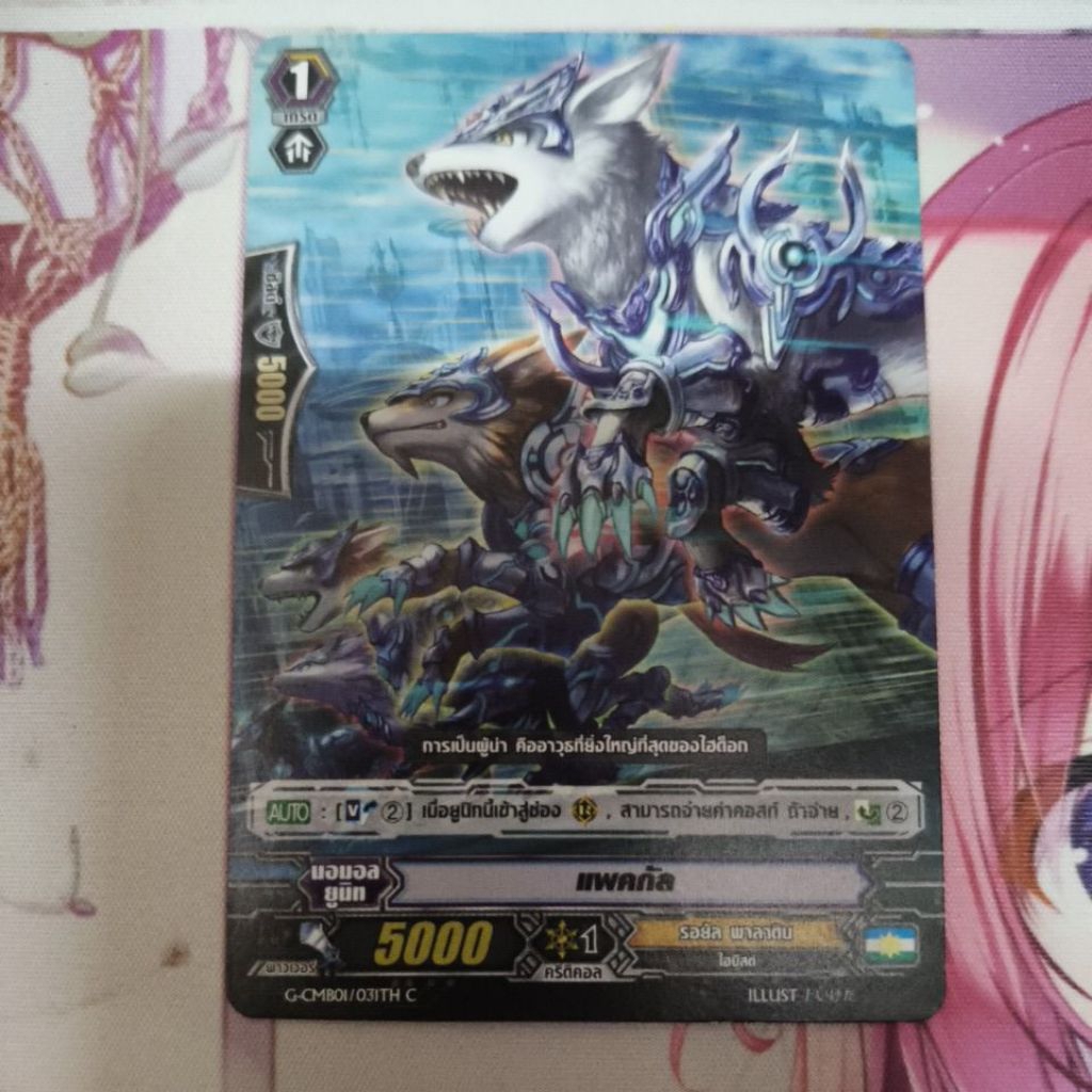 แพคกัล ไม่ฟอย G-CMB01/031TH C | Shopee Thailand