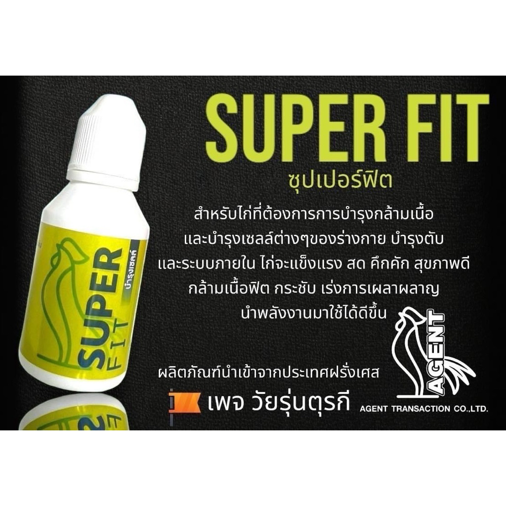 วัยรุ่นตุรกี Super fit | Shopee Thailand