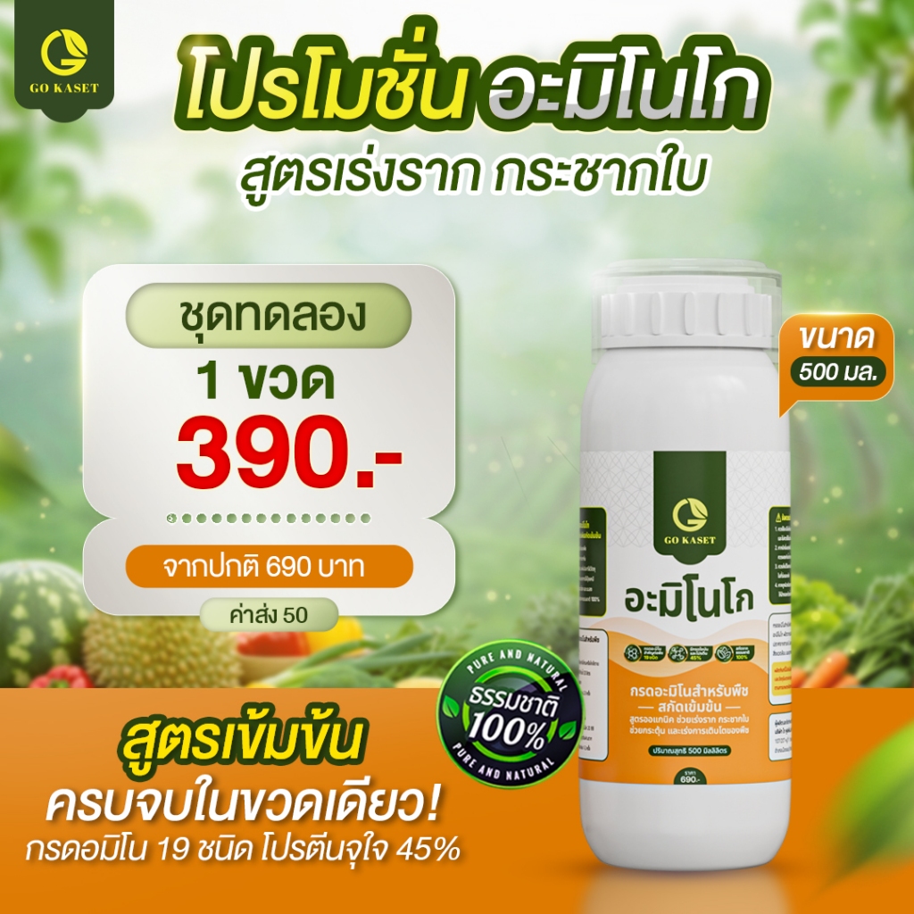 (1ขวด) ขนาด500ml. - AMINO GO (อะมิโนโก) กรดอะมิโนสำคัญต่อพืช 19 ชนิด ...