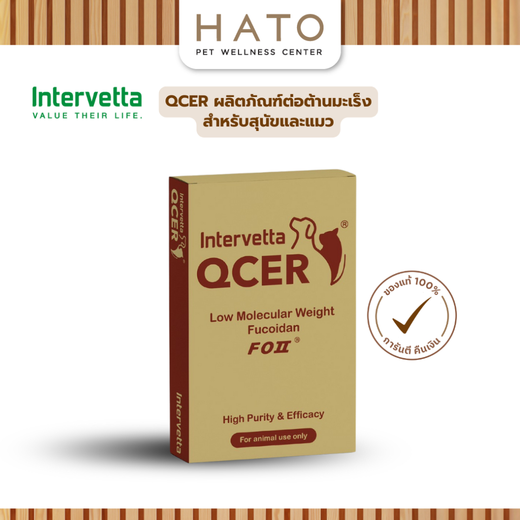Intervetta QCER ผลิตภัณฑ์ต่อต้านมะเร็งและเสริมภูมิคุ้มกันร่างกายให้สมดุลย์สุนัขและแมว(วอส. ...