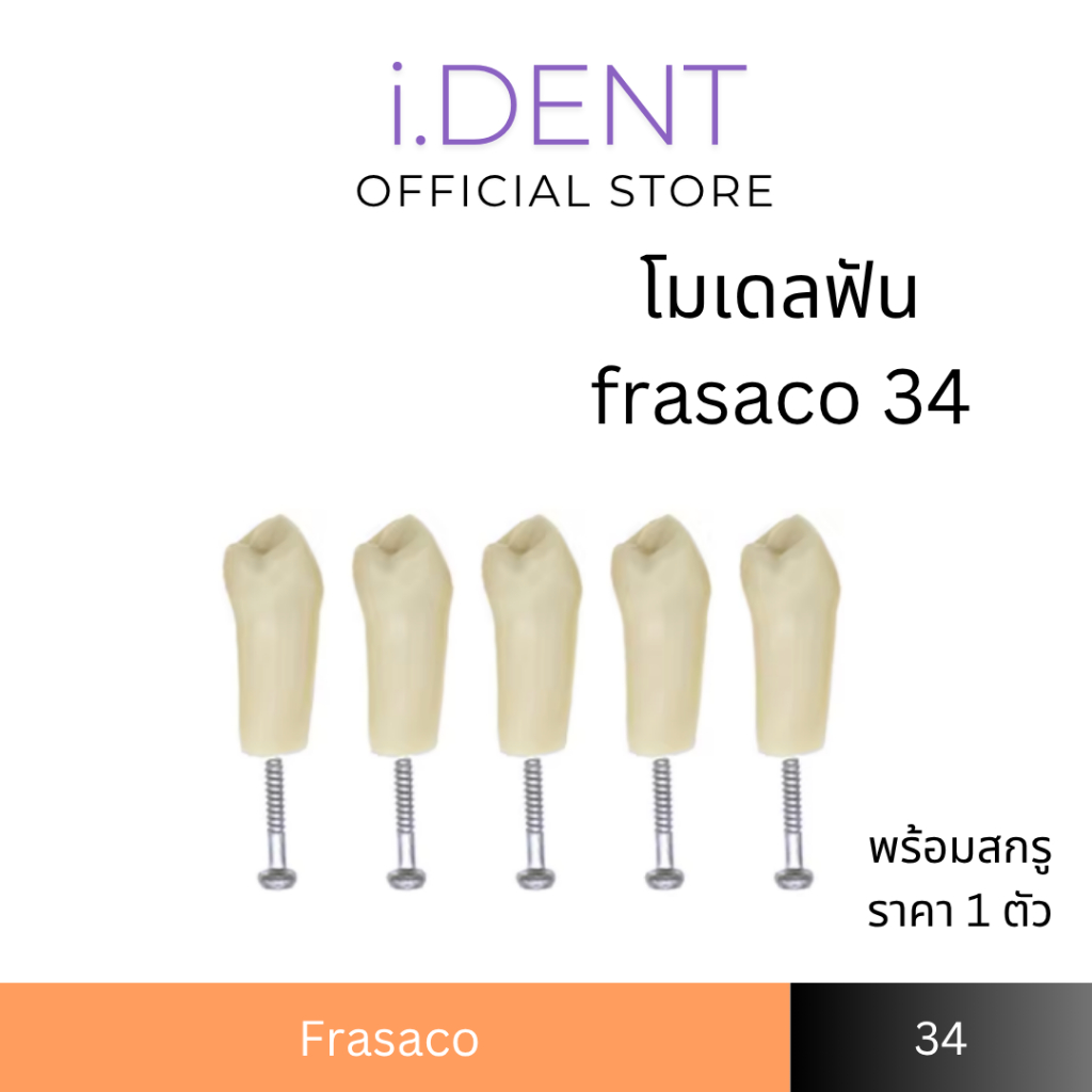 โมเดลฟัน Frasaco ซี่ 34 ฟรีสกรู | Shopee Thailand