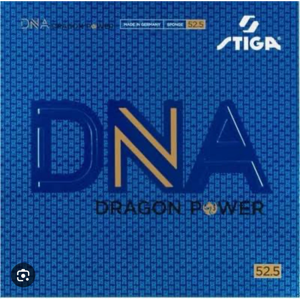 ยางปิงปอง DNA Dragon Power | Shopee Thailand