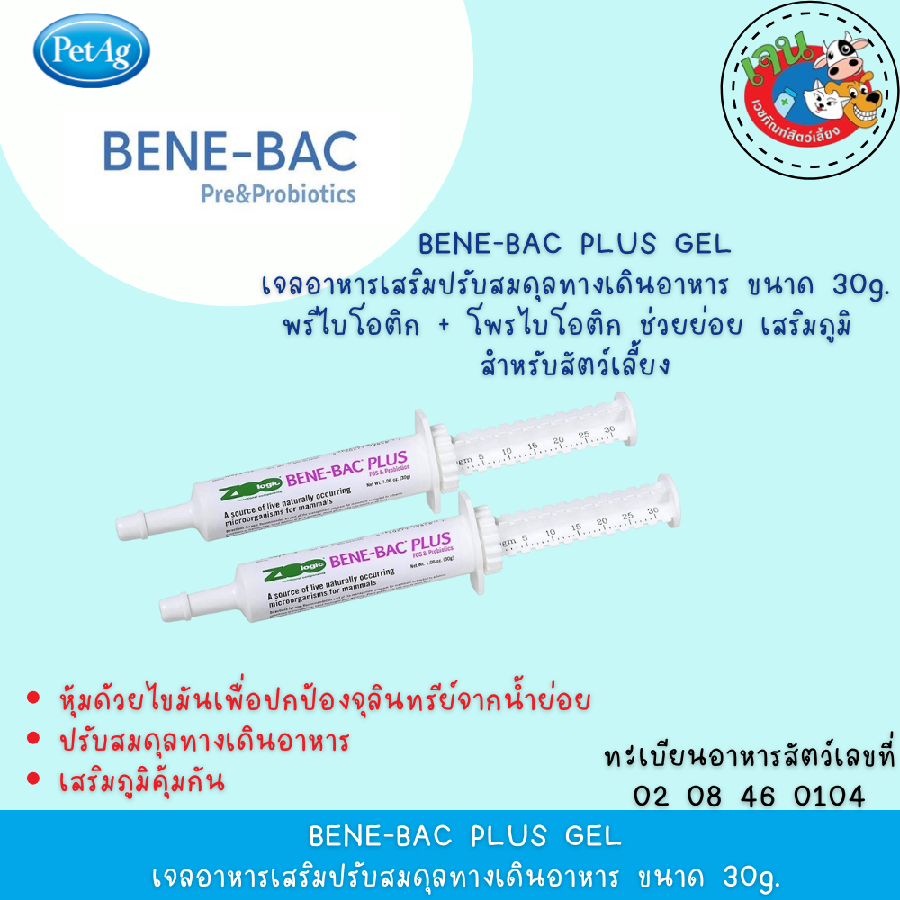 BENE-BAC PLUS GEL เจลอาหารเสริมปรับสมดุลทางเดินอาหาร ขนาด 30g | Shopee Thailand