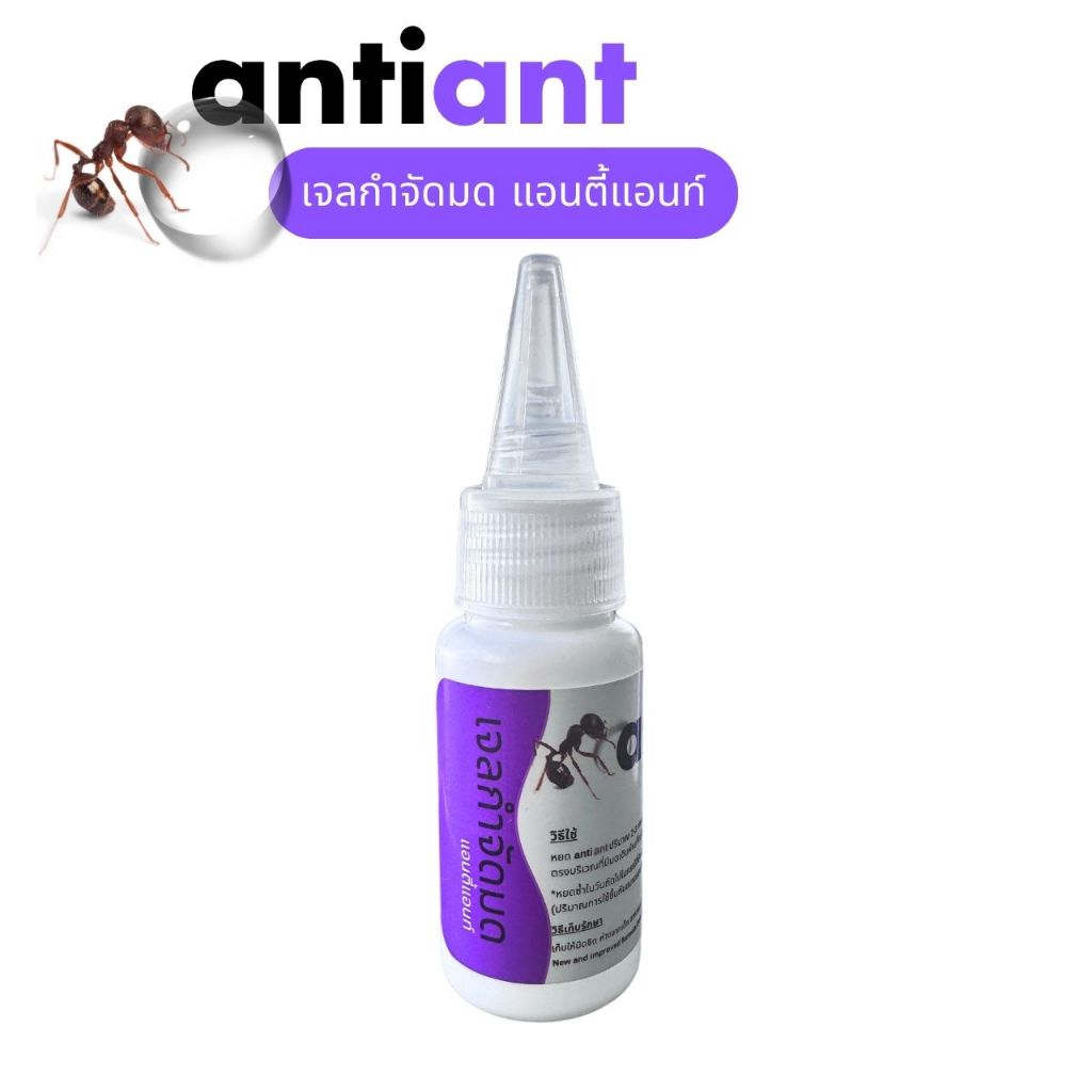 เจลกำจัดมด antiant ขนาด 30 กรัม | Shopee Thailand