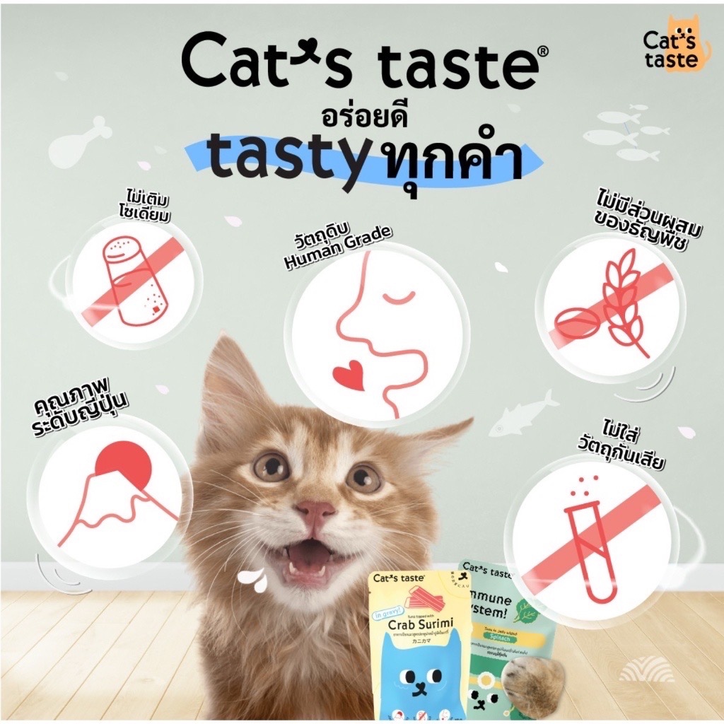 (48ซอง)Cat’s taste Premium อาหารเปียกแมวสุขภาพ ขนาด 70 กรัม | Shopee Thailand