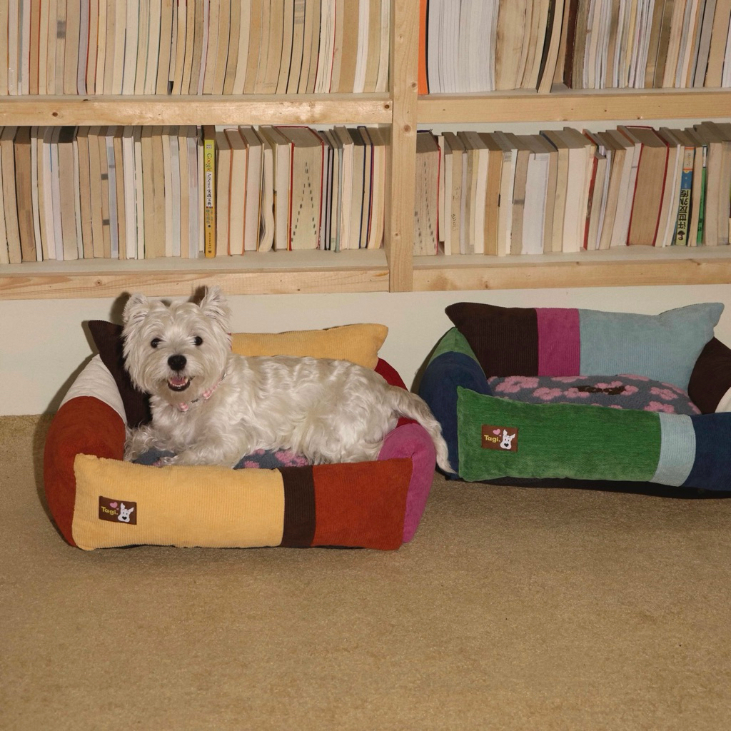 [พร้อมส่ง] Tagi. Corduroy Splicing Pet Sofa เบาะนอนสัตว์เลี้ยง ที่นอน ...