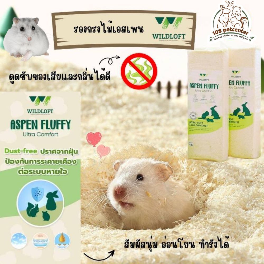รองกรงหนูแฮมสเตอร์ Wildloft Aspen จากธรรมชาติ bedding hamster ขี้เลื่อยเอสเพน (108pet) | Shopee ...