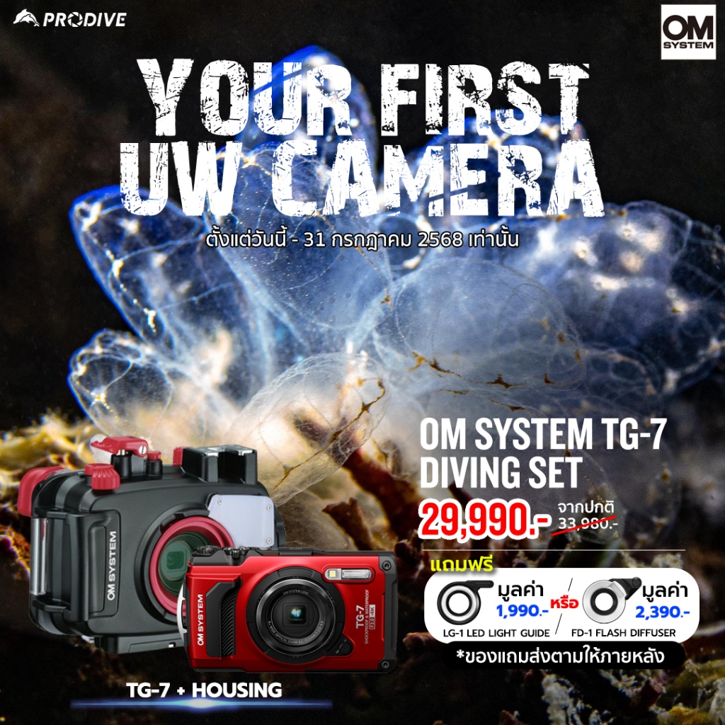 OM system TG-7 “SMALL but TOUGH with QUALITY” กล้องคอมแพคถ่ายใต้น้ำสุด ...