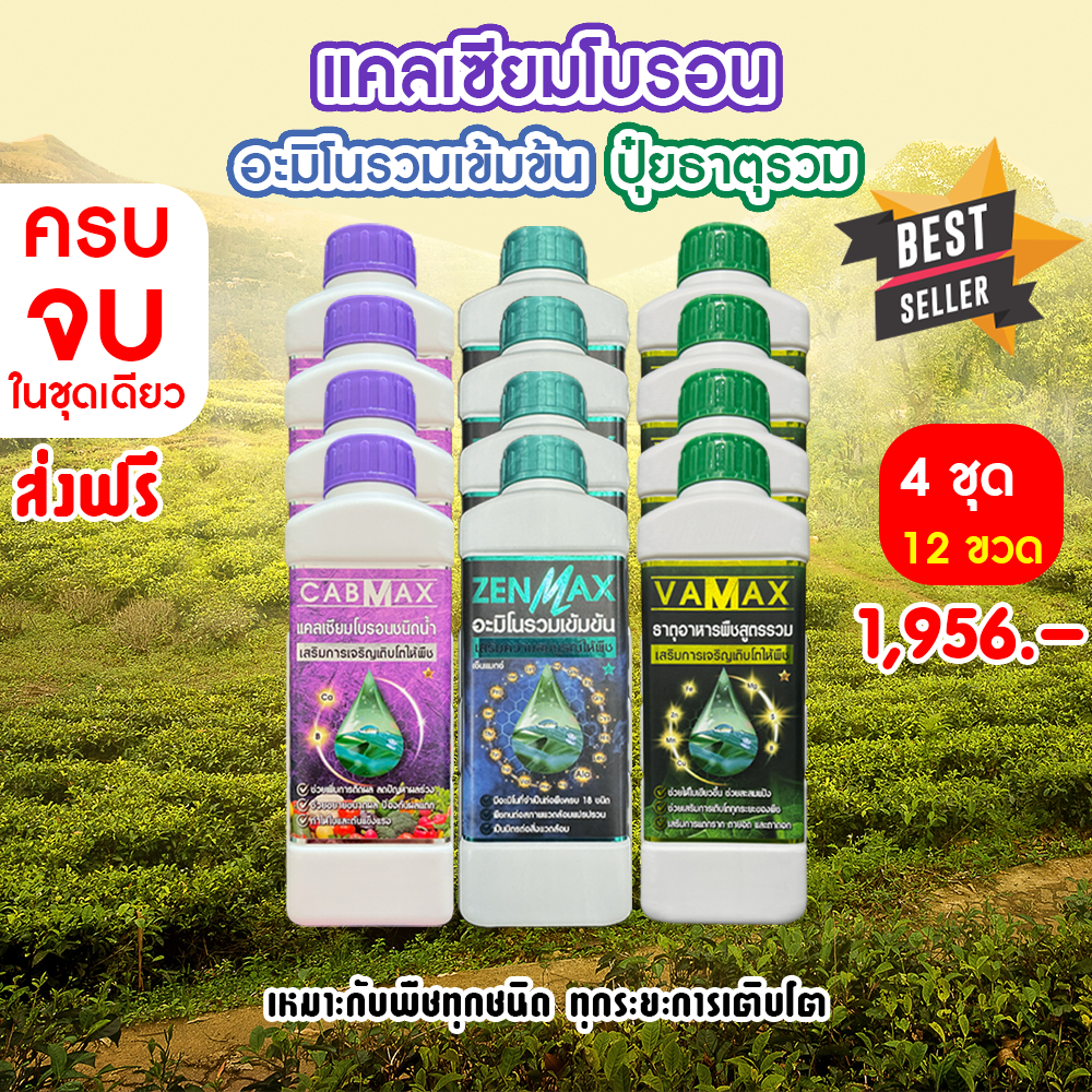 ( 4ชุด 12 ขวด ) CABMAX แคลเซียมโบรอนเข้มข้น + VAMAX ธาตุอาหารรวมเข้มข้น ...