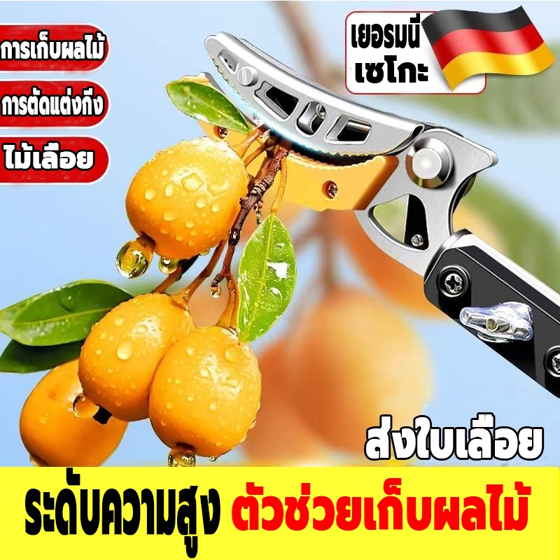 [ตัด หนีบ เลื่อย 3in1] กรรไกรตัดกิ่งสูงด้ามยาว กรรไกรตัดผลไม้ SK5 (กรรไกรยาว 2M 3M 4M) เหมาะกับ ...