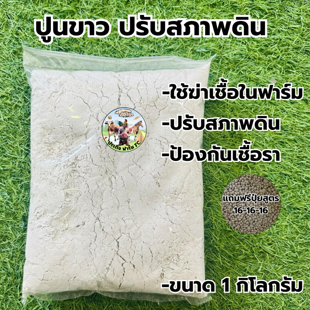 ปูนขาว ปรับสภาพดิน ป้องกันเชื้อรา ฆ่าเชื้ิอ ขนาด 1 กิโลกรัม | Shopee ...