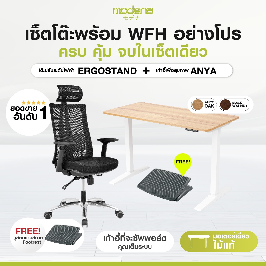 [ส่งฟรี] ErgoSet - เก้าอี้เพื่อสุขภาพ Anya โต๊ะปรับระดับไฟฟ้า ErgoStand ...
