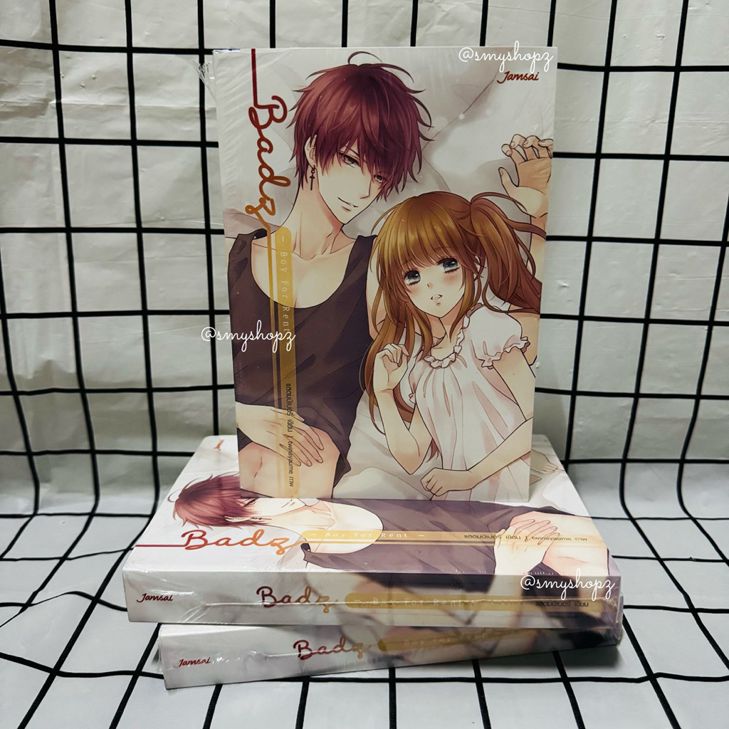 [พร้อมส่ง-มือหนึ่งตำหนิบุบ/ขีดสัน] Badz Boy For Rent | Shopee Thailand