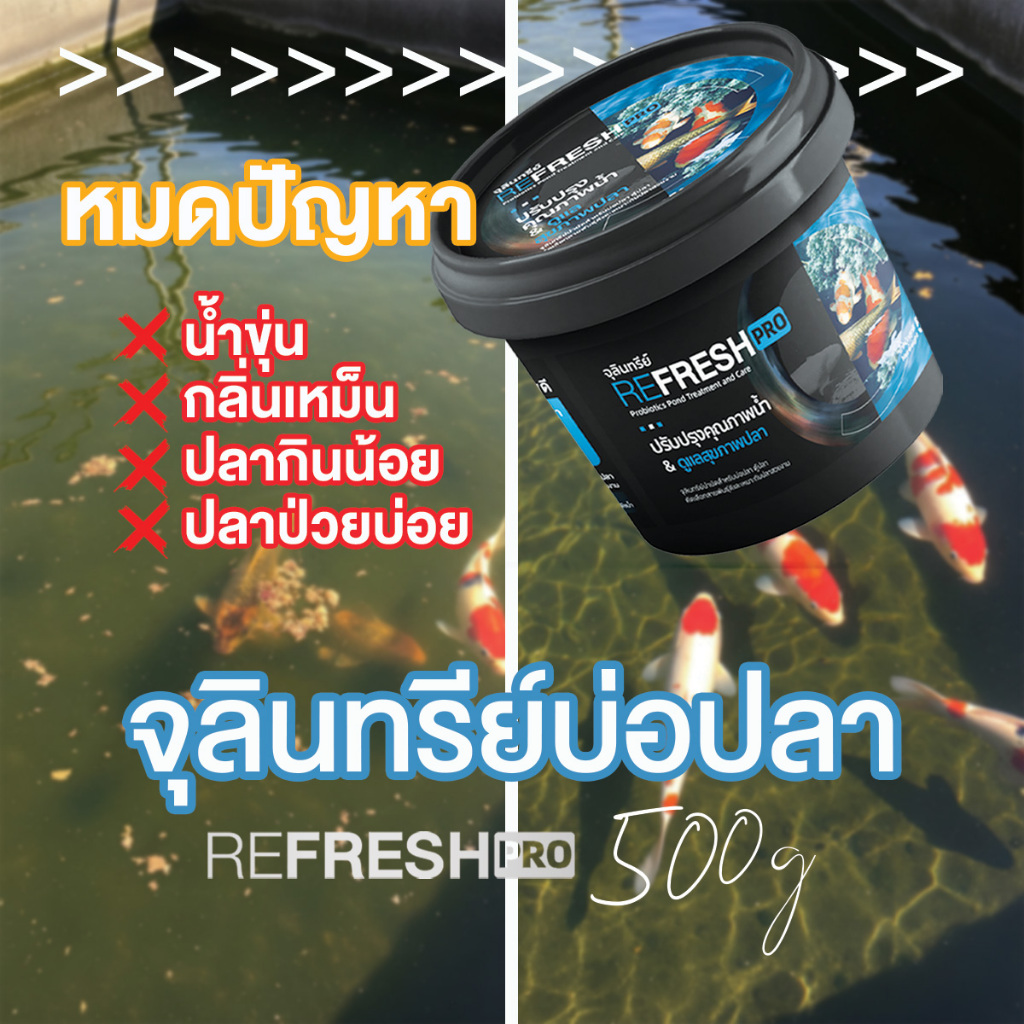 Refresh pro 500g (แบบกระปุก มีช้อนแถมในกระปุก) | Shopee Thailand