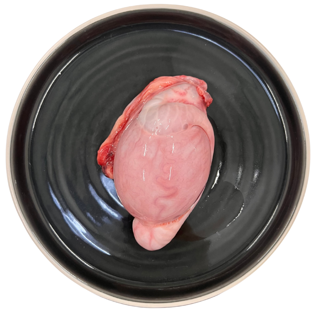 ไข่แกะดิบ BARF Topping Raw Lamb Testicle | Shopee Thailand