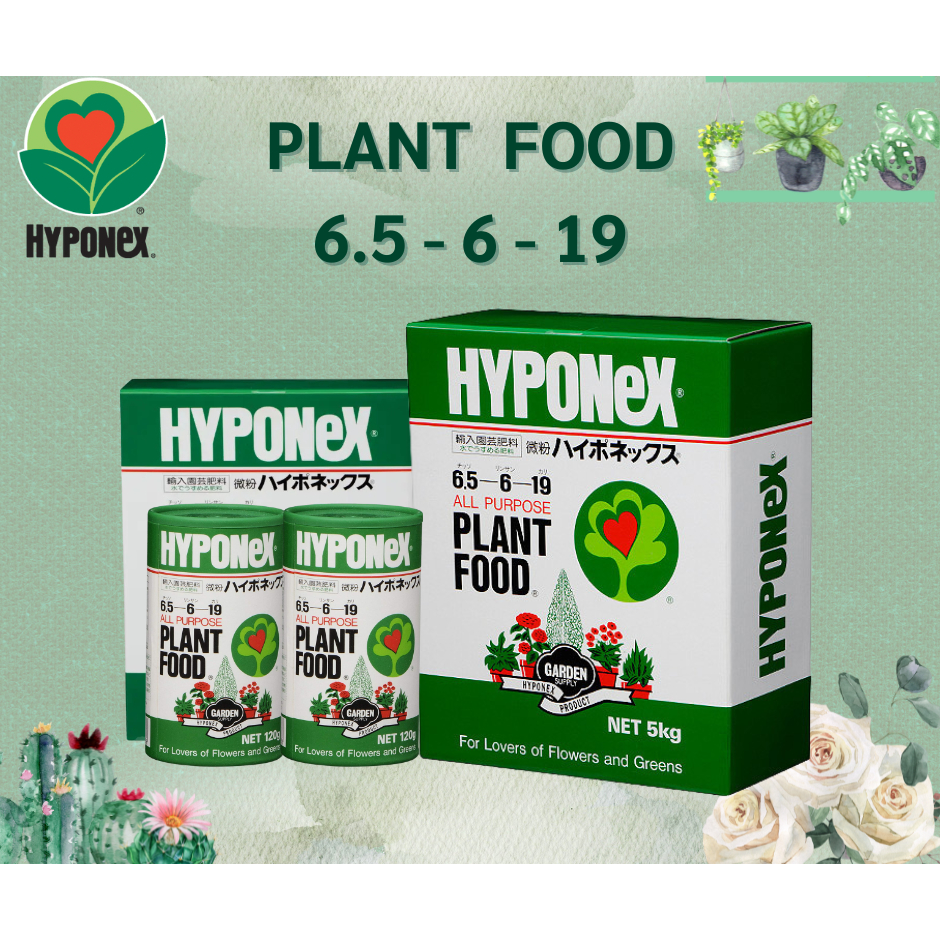 Hyponex Plant Food Powder 6.5-6-19 ปุ๋ยเทพสุดของค่ายHyponex ขนาด 5 kg ...