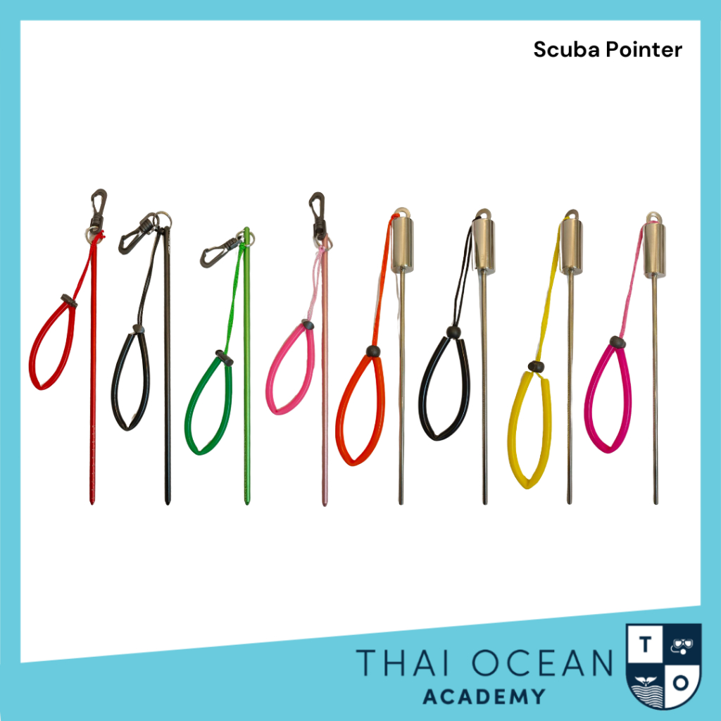 Scuba Pointer & Ring พ้อยเตอร์สำหรับดำน้ำแบบธรรมดาและมีกระดิ่ง | Shopee ...