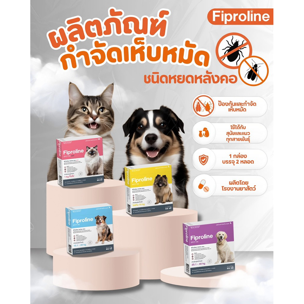 (( แพคเกจใหม่ )) Fiproline Spot On 1 แผง 2 หลอด กำจัดเห็บหมัด สำหรับ ...