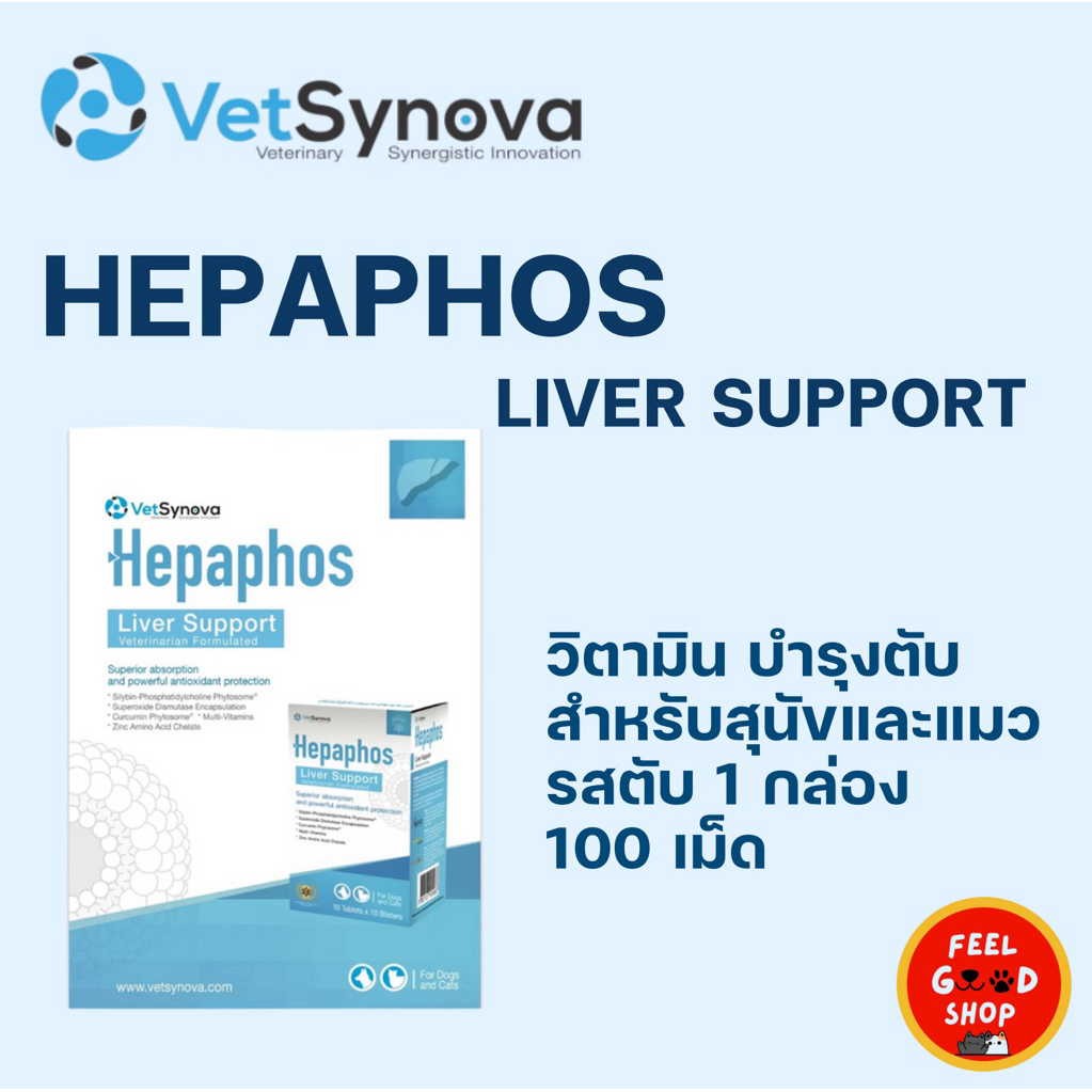 (( ยกกล่อง 100 เม็ด )) Hepaphos liver support Exp.29/11/2026 วิตามิน ...