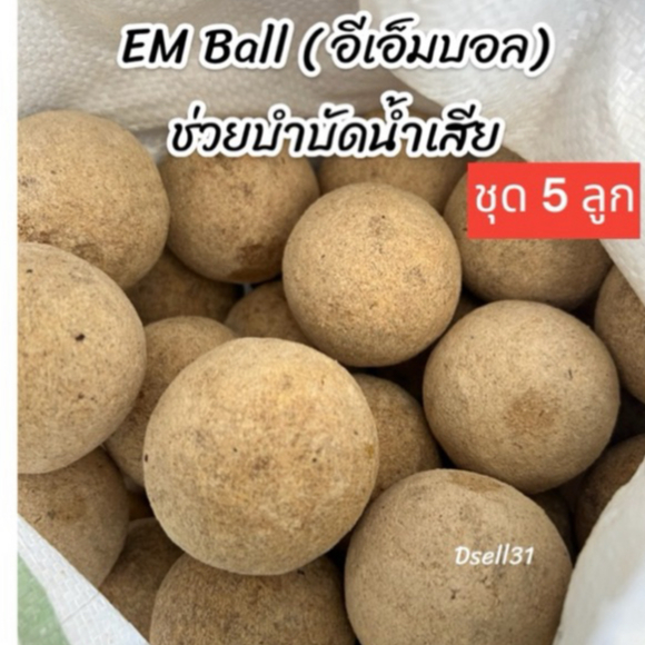EM Ball อีเอ็มบอล ขนาด 5ลูก หัวเชื้อ ช่วยบำบัดน้ำเสีย จุลินทรีย์ก้อน ...