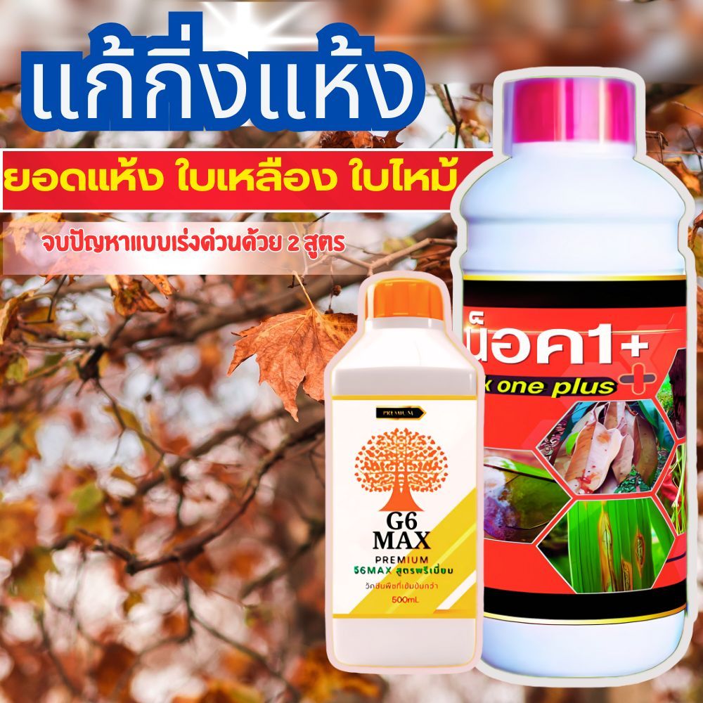 ใบเหลืองร่วง กิ่งแห้ง ใบไหม้ ต้นโทรม ยอดแห้ง เจอปัญหาเชื้อราพืชบุก จบปัญหาด้วยน็อควันพลัส ...
