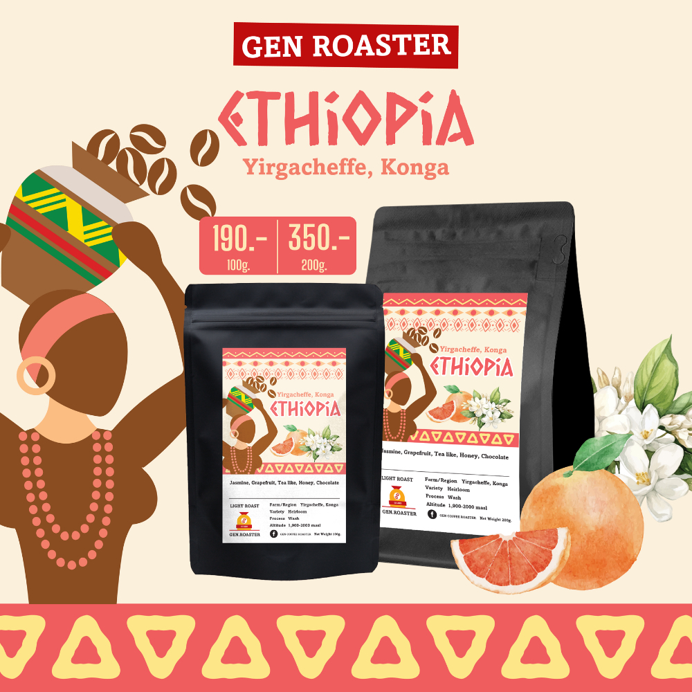 เมล็ดกาแฟคั่วอ่อน Ethiopia Yirgacheffe, Konga Process Wash | Shopee Thailand