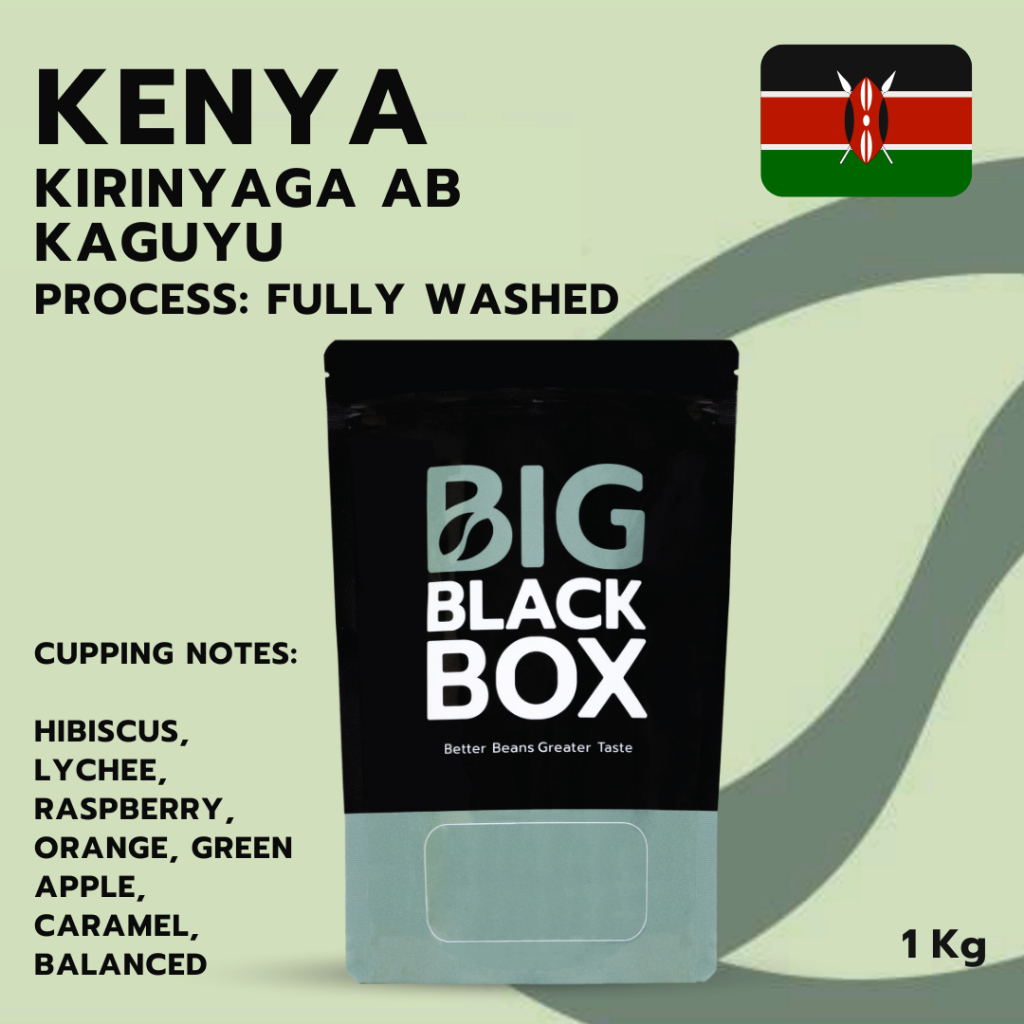 (1G-AF-KE-S-011) สารกาแฟ Kenya Kirinyaga AB Kaguyu Fully Washed 1kg ...