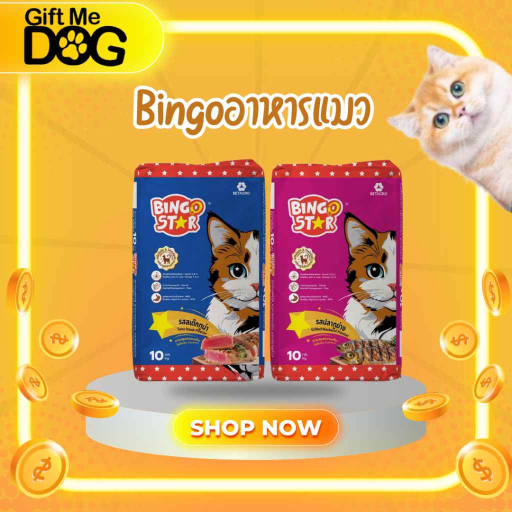 Bingostar บิงโกสตาร์ อาหารแมวแบบเม็ด สำหรับแมวทุกสายพันธุ์ ขนาด20kg ...