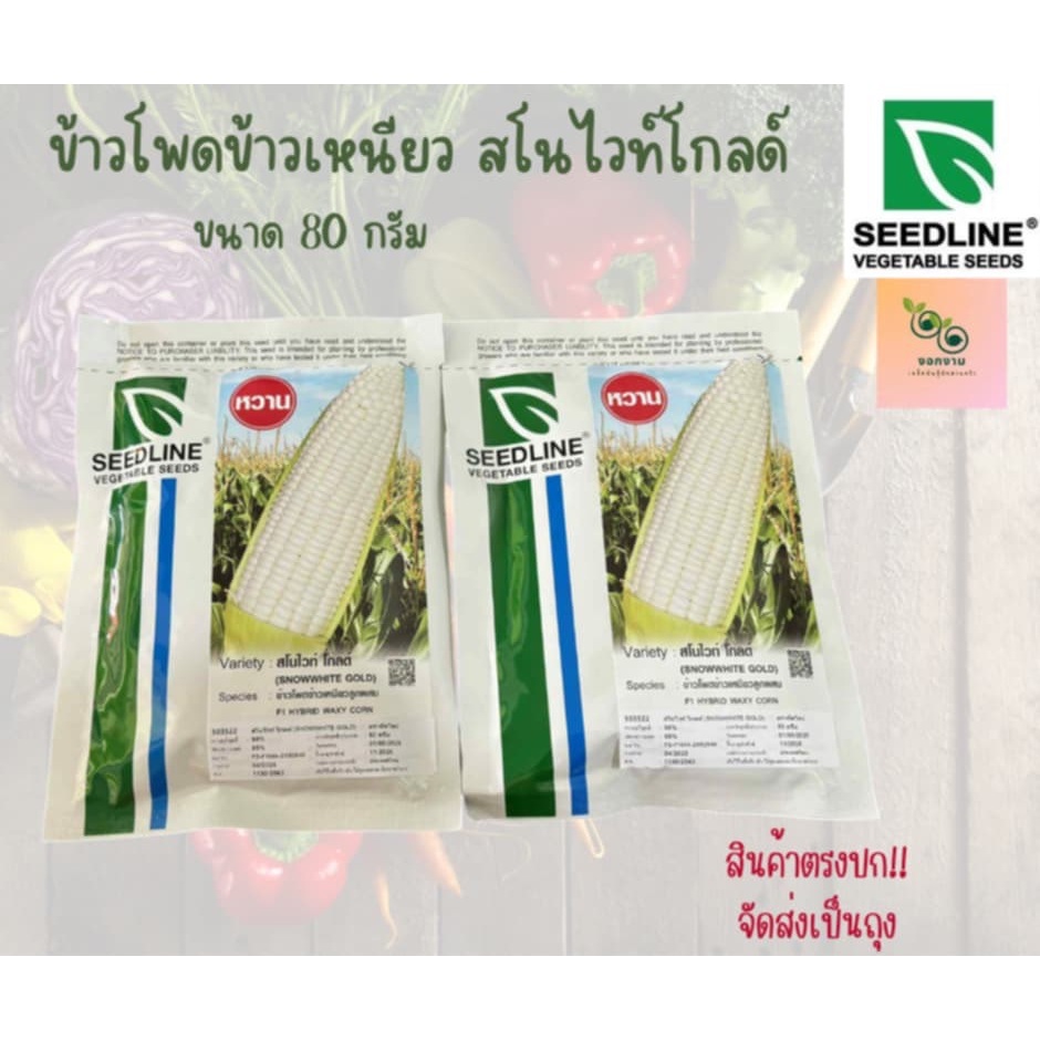 เมล็ดข้าวโพดข้าวเหนียว สโนไวท์โกลด์ ขนาด 80 กรัม SEEDLINE | Shopee Thailand