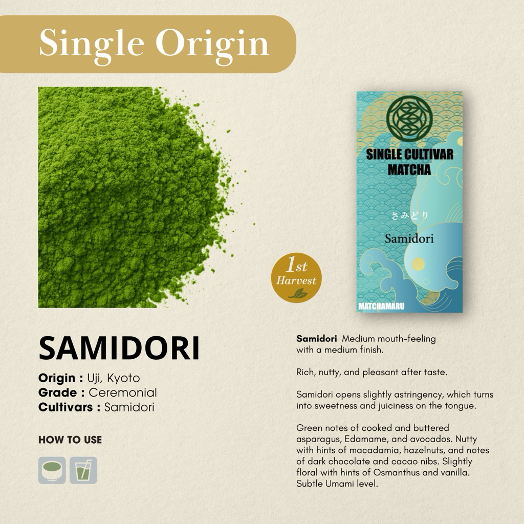 Samidori (20g) Gokasho - Uji Single Origin : Ceremonial grade matcha ...