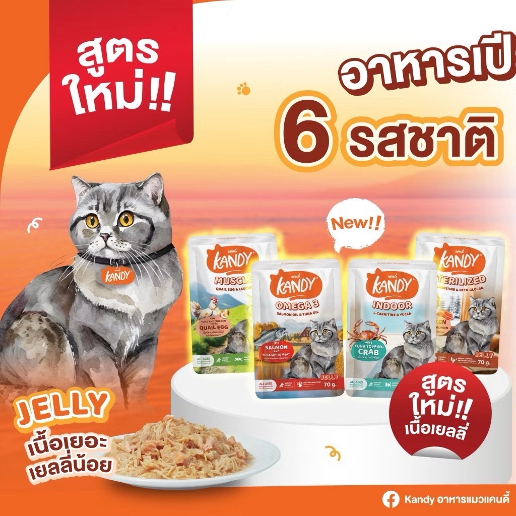 [ยกโหล 12 ซอง]Kandy แคนดี้ อาหารเปียกแมว ไม่ใส่เกลือ ผลิตจากปลาเนื้อขาว ...