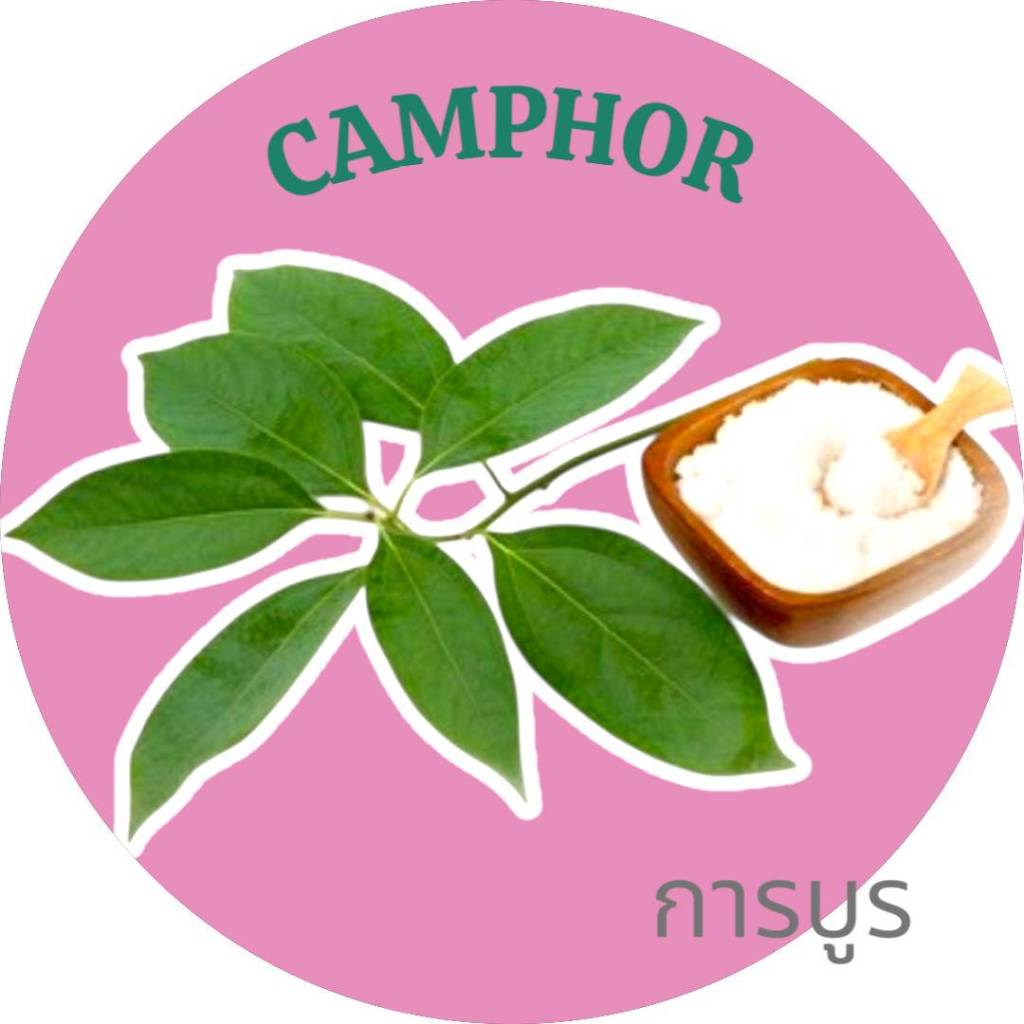 การบูร (CAMPHOR) ขนาด 100 กรัม/ 500 กรัม สินค้าพร้อมส่งทันทีจากเจเจ มอ ...