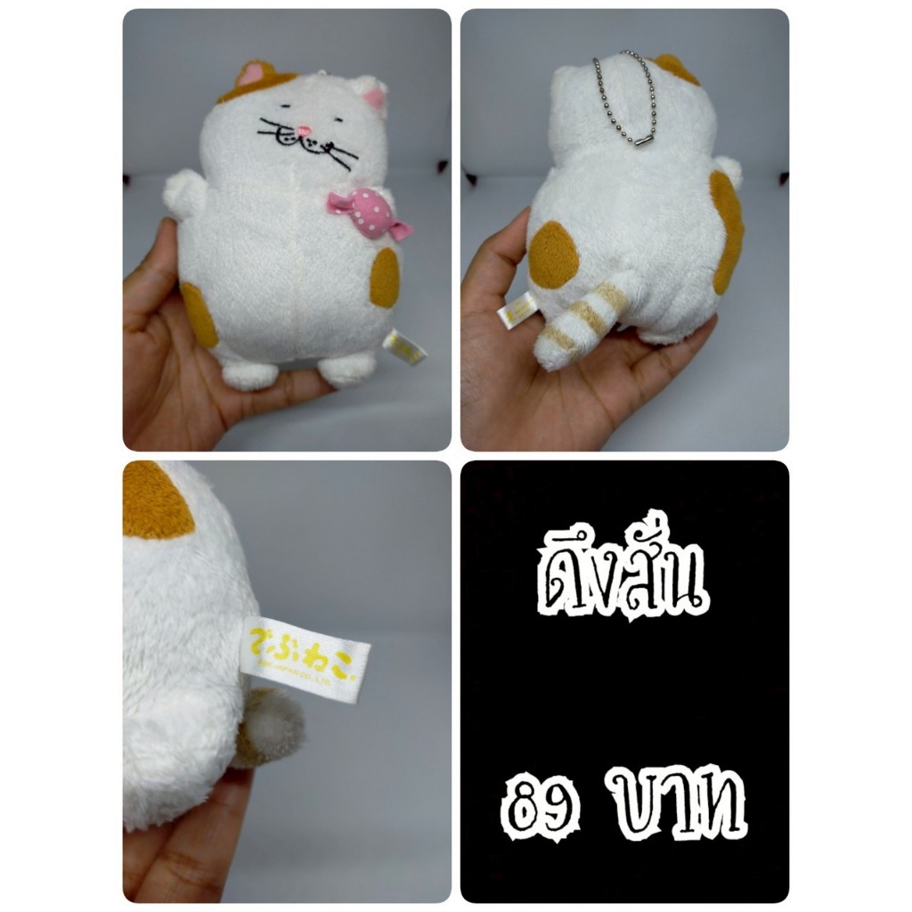 Turkish#Fat Cat Gourmet Miniskirt Sitting#เทอร์คิช#แมว#ดึงสั่น#งานพวง ...