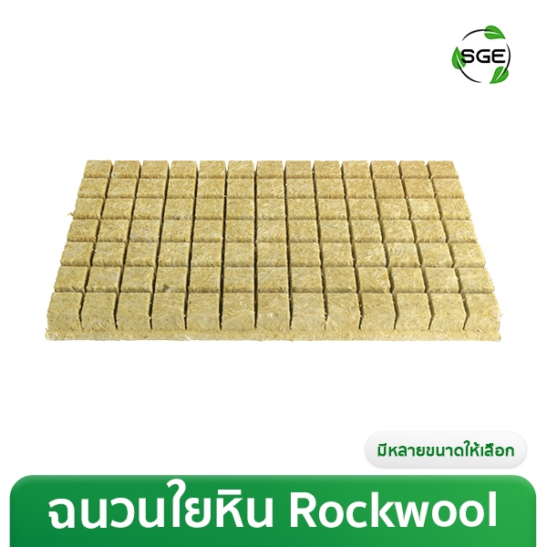 Spring Green Evolution ร็อควูลก้อน Rockwool ใยหินปลูกต้นไม้ ส่งไว! ซื้อ ...