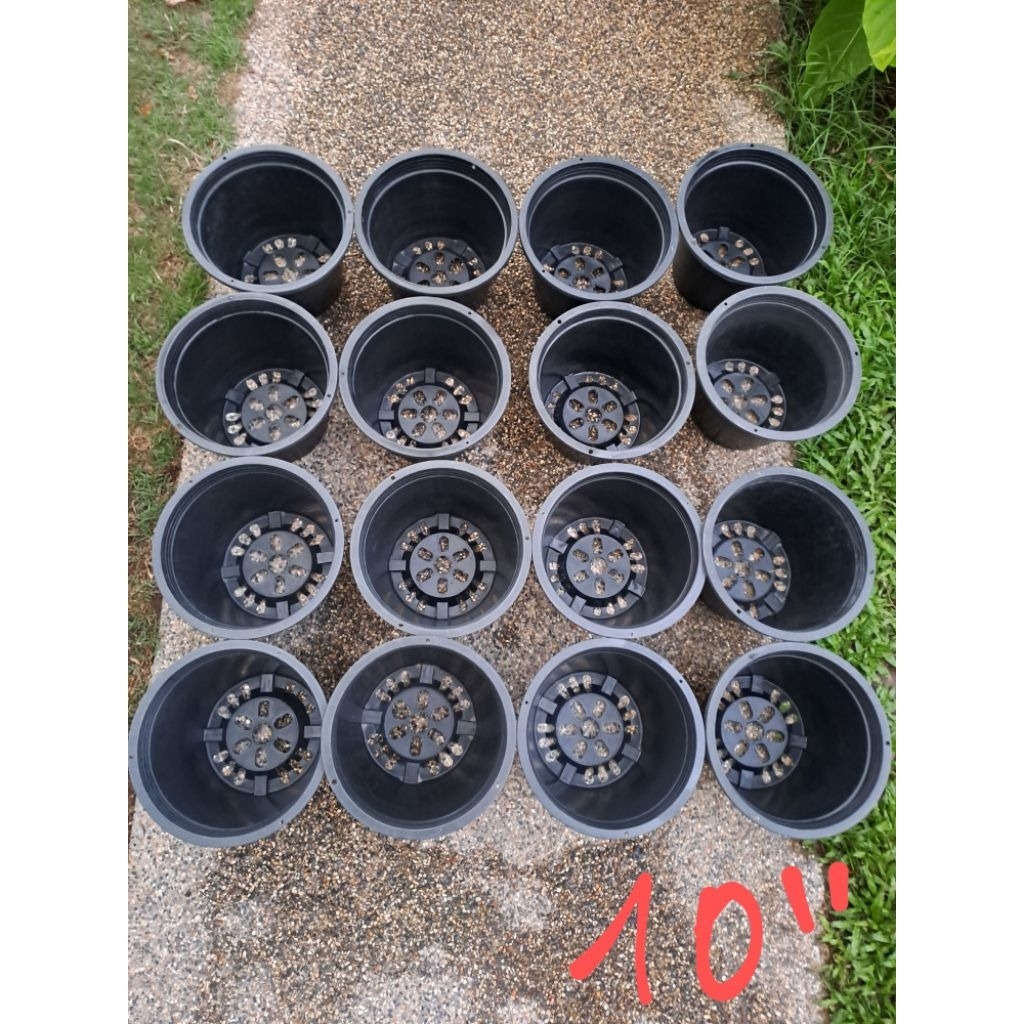 PNP Second-Hand Black Round Plastic Nursery Planting Pots 4/5.5/6/7.5 ...