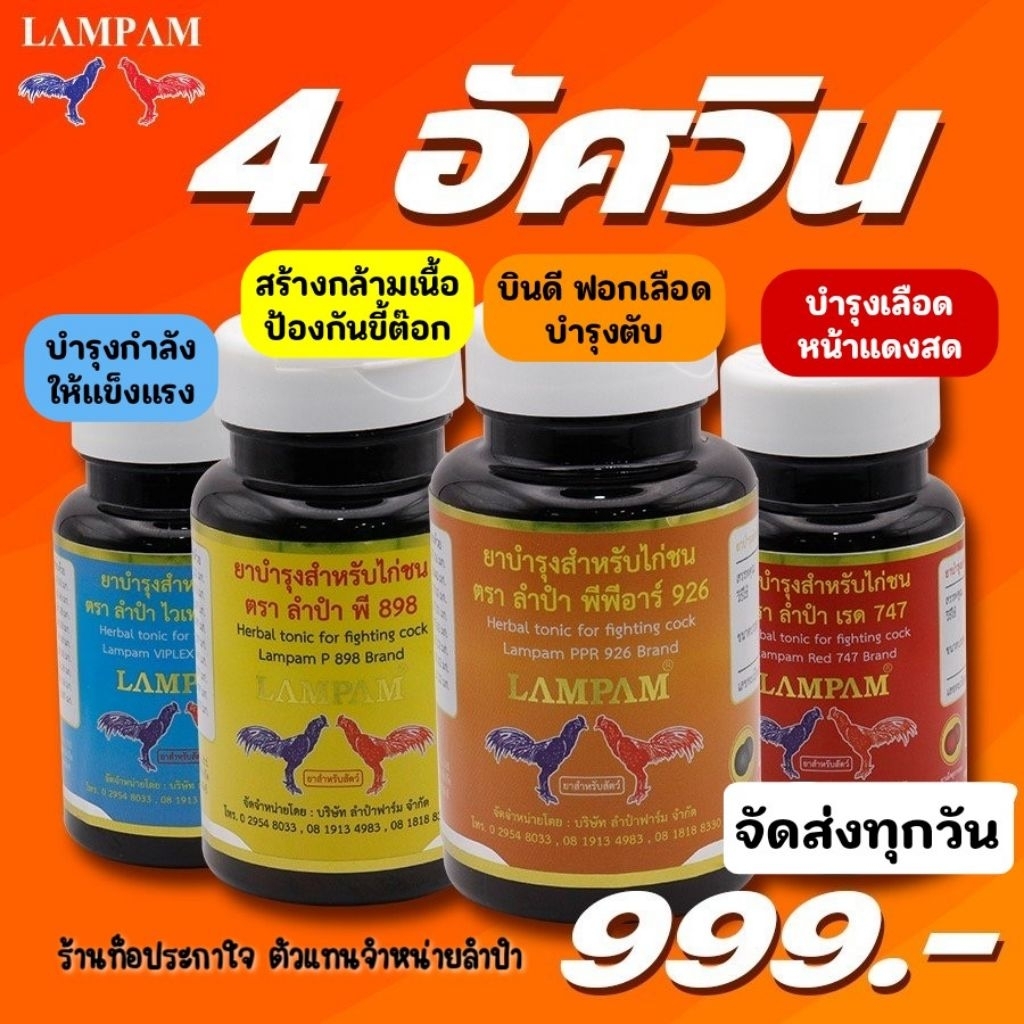 LAMPAM ลำปำ ชุดเลี้ยง 4 อัศวินลำปำ | Shopee Thailand
